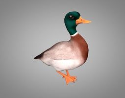 Duck 3D Models | CGTrader