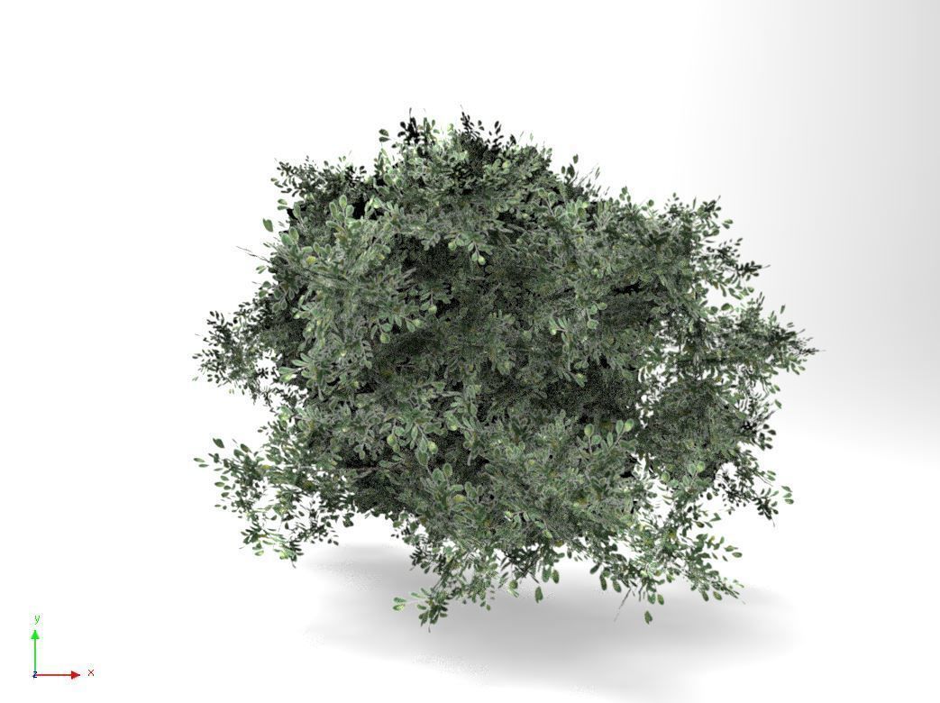 bush 3d V-01 free 3D model | CGTrader