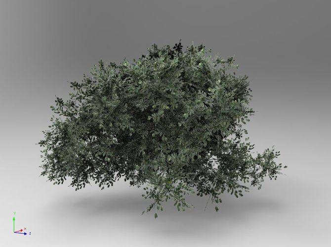 bush 3d V-01 free 3D model | CGTrader