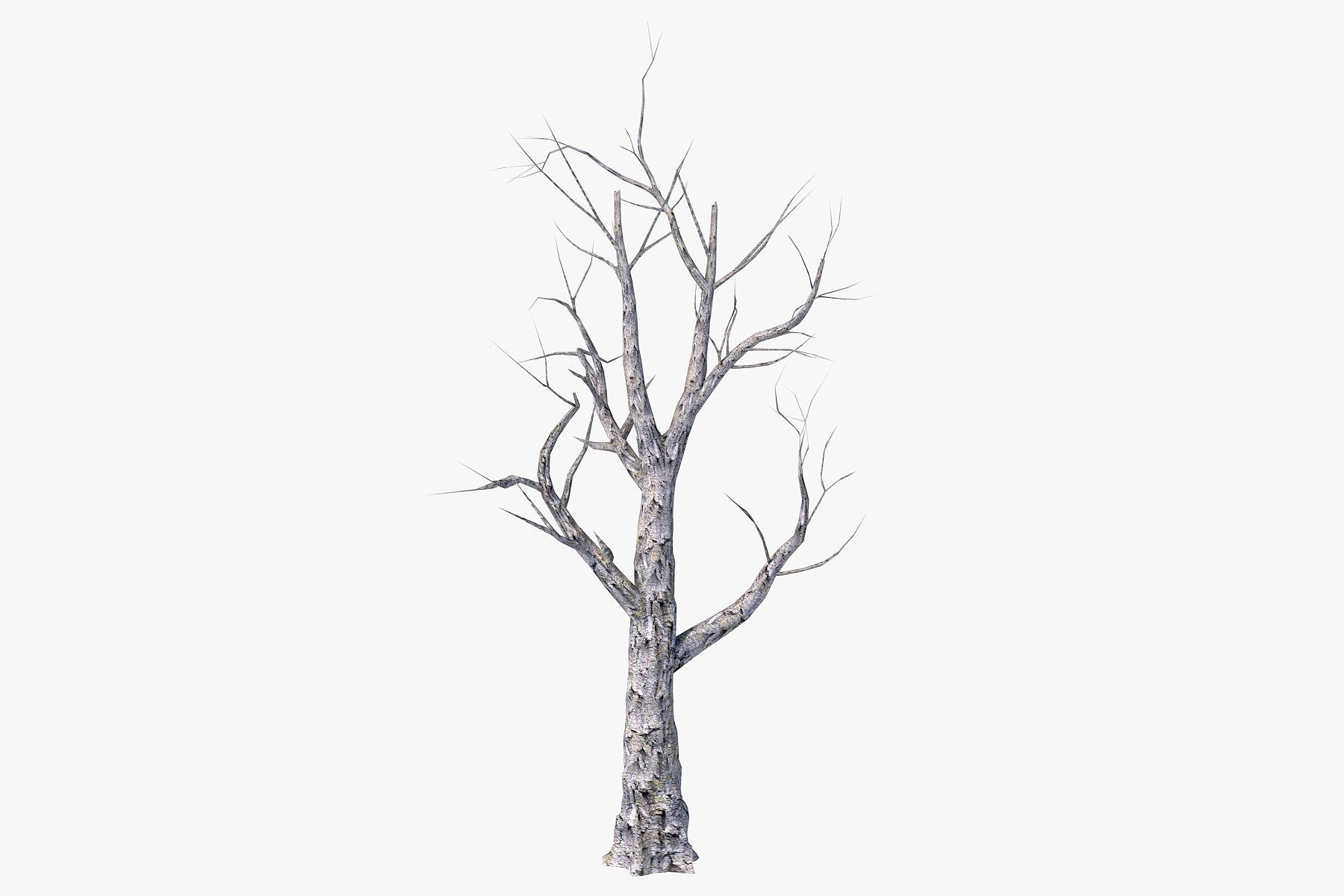 3D model Low Poly Dead Tree Pack VR / AR / low-poly | CGTrader