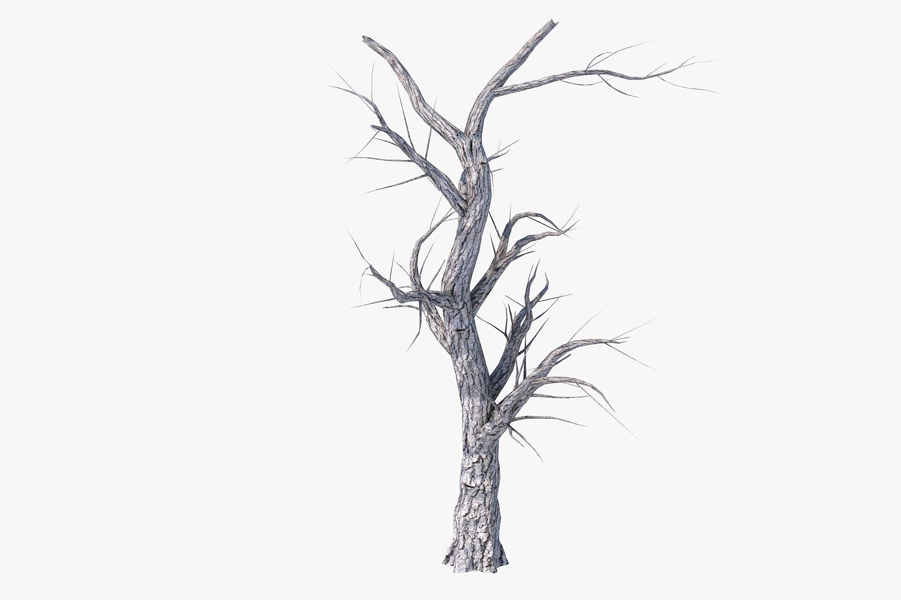 3D model Low Poly Dead Tree Pack VR / AR / low-poly | CGTrader