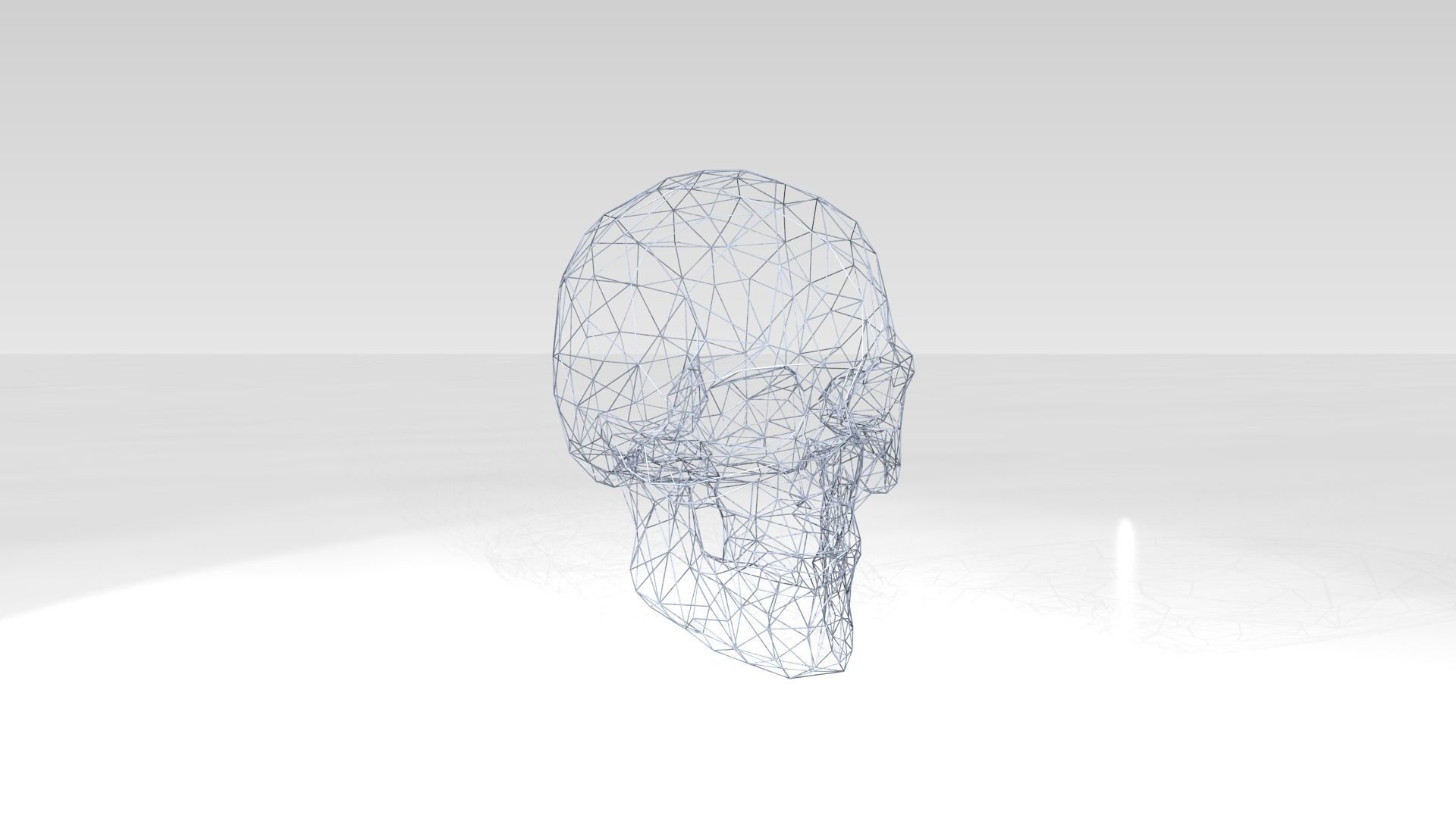 Skull Wireframe 3D model | CGTrader