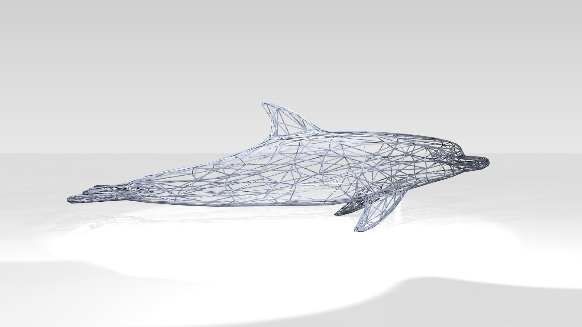 Dolphin Wireframe 3D model | CGTrader