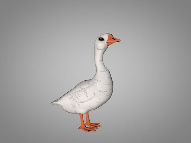3D model Goose VR / AR / low-poly rigged animated | CGTrader