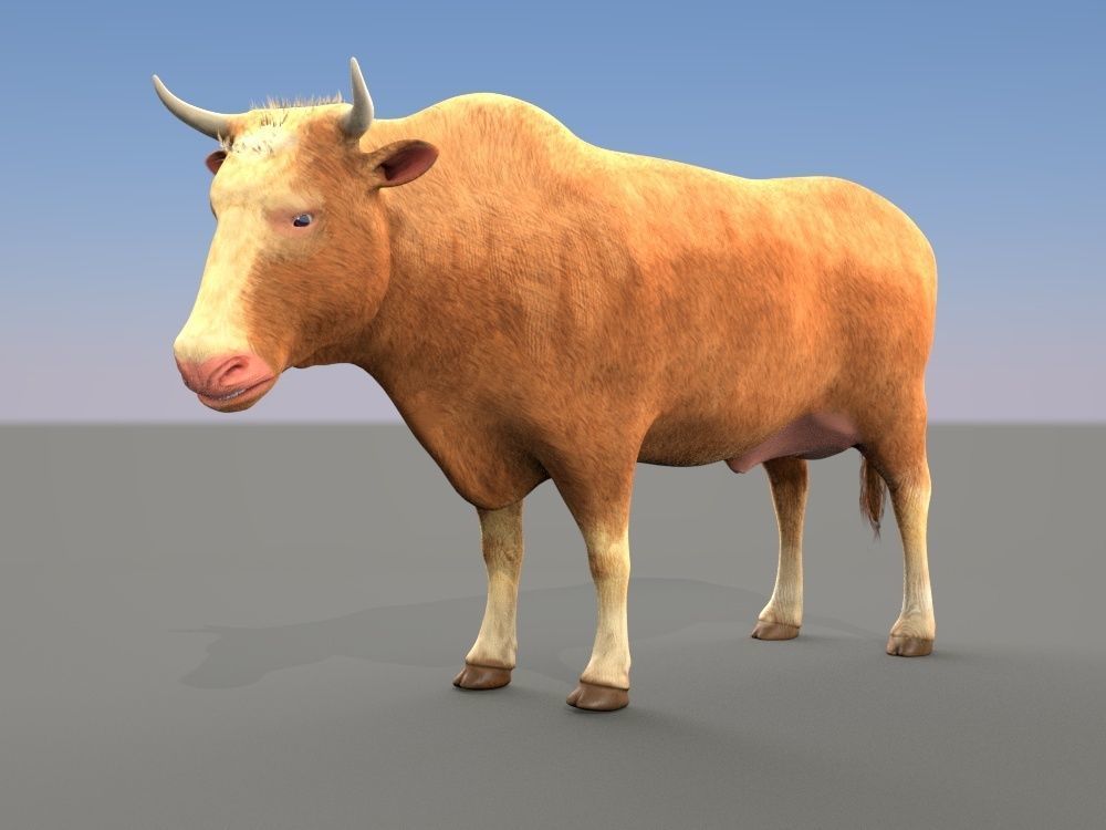 3D model Cow Male and female plus animation VR / AR / low-poly rigged ...