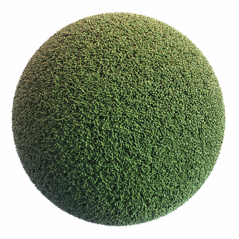 Moss Set 3D model | CGTrader