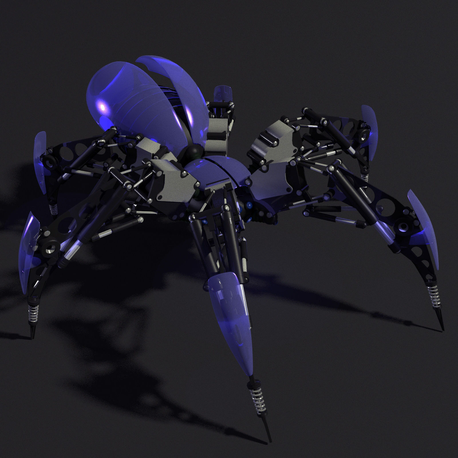 Spider Rigged 3D model animated rigged | CGTrader