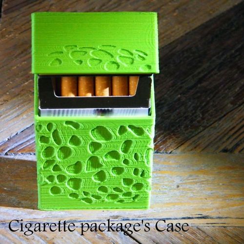 CIGARETTE PACKAGE CASE 3D model 3D printable | CGTrader