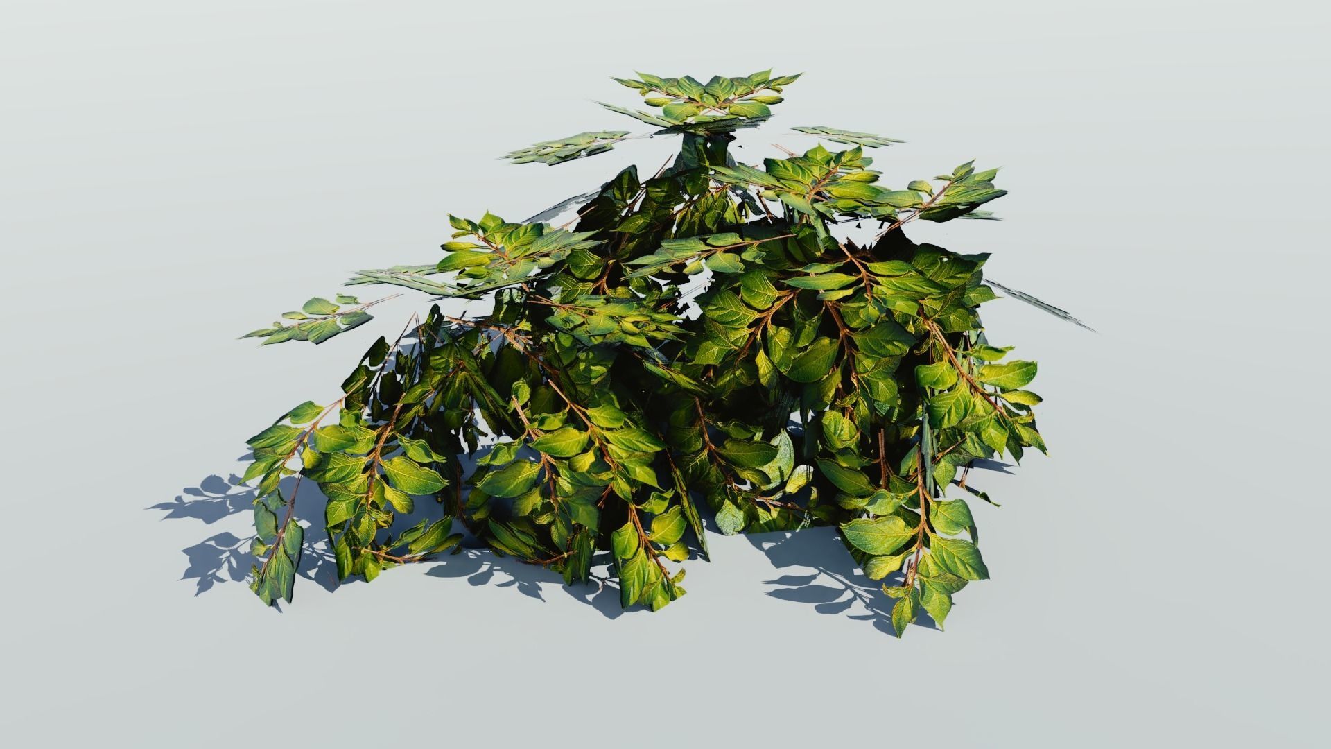 3D model Luxury Bush VR / AR / low-poly | CGTrader
