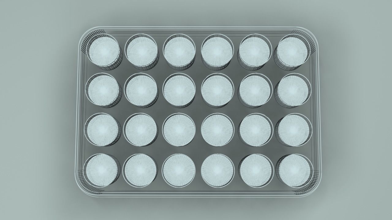 24 Wells Plate 3D model | CGTrader