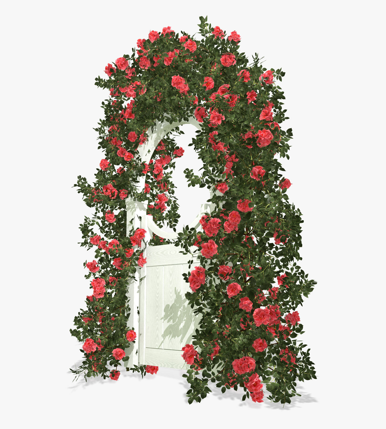 Rose climbing 3D model | CGTrader