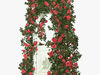 Rose climbing 3D model | CGTrader
