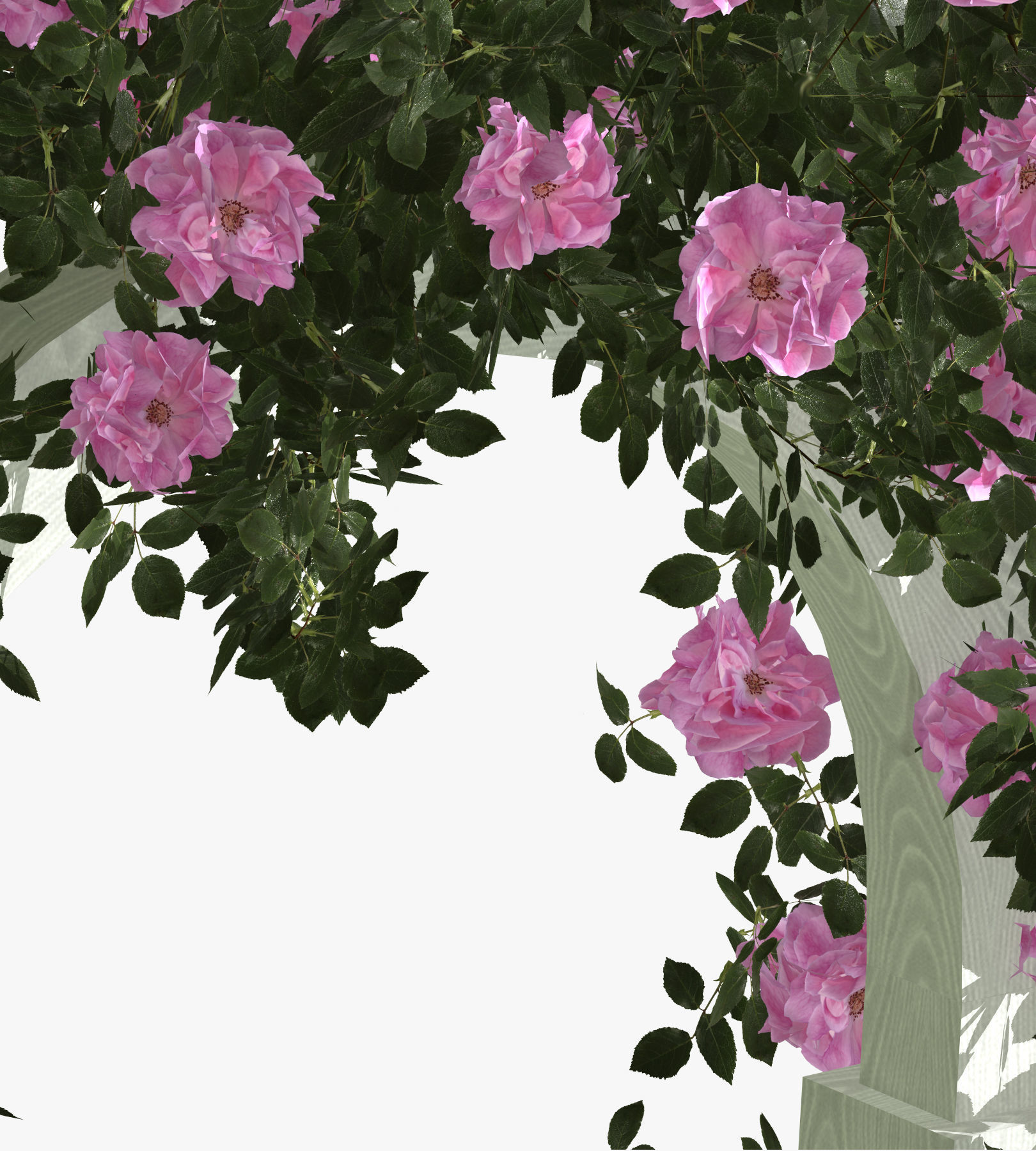 Rose climbing 3D model | CGTrader