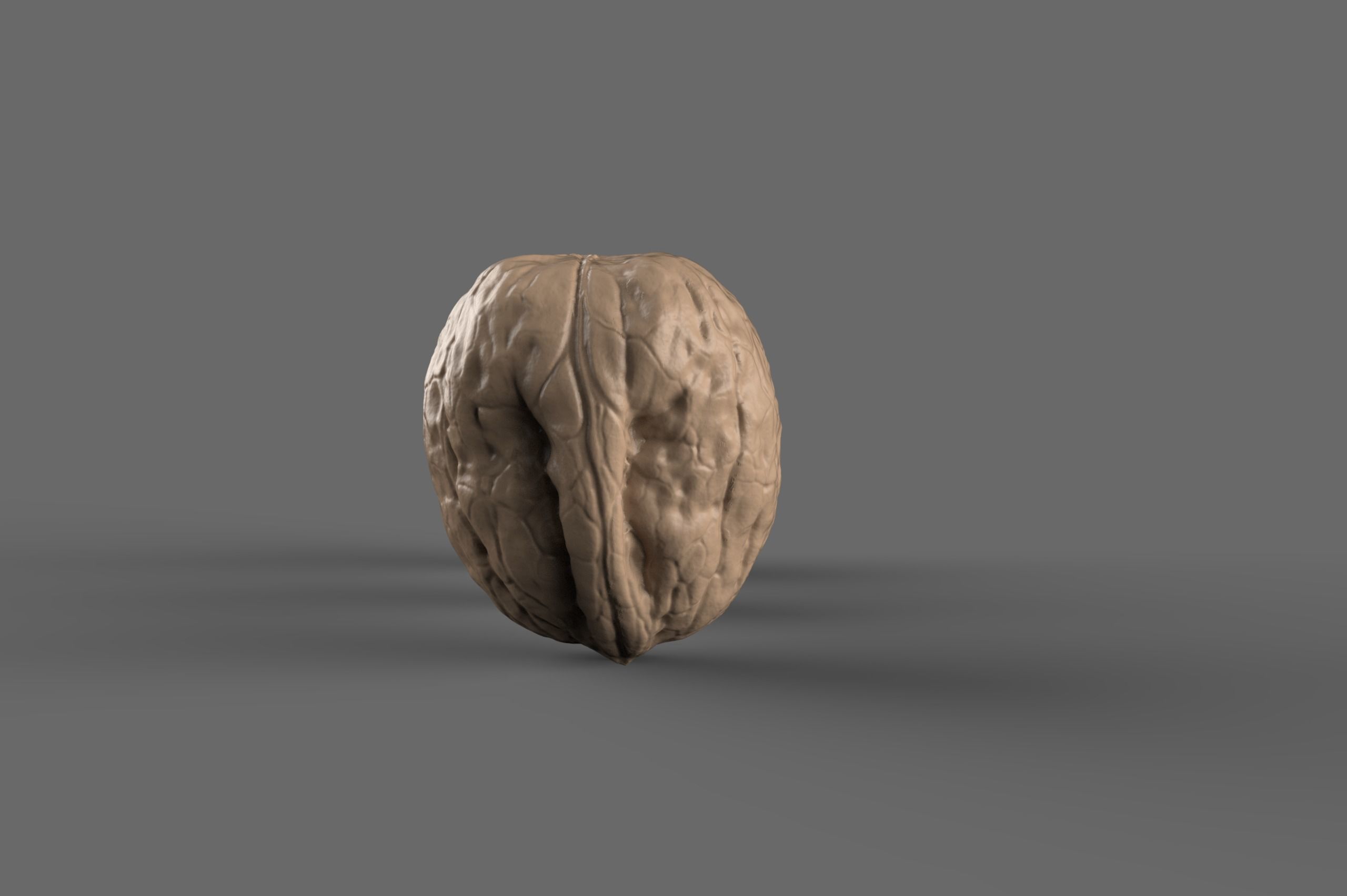 Walnuts 3D Scan 3D model | CGTrader