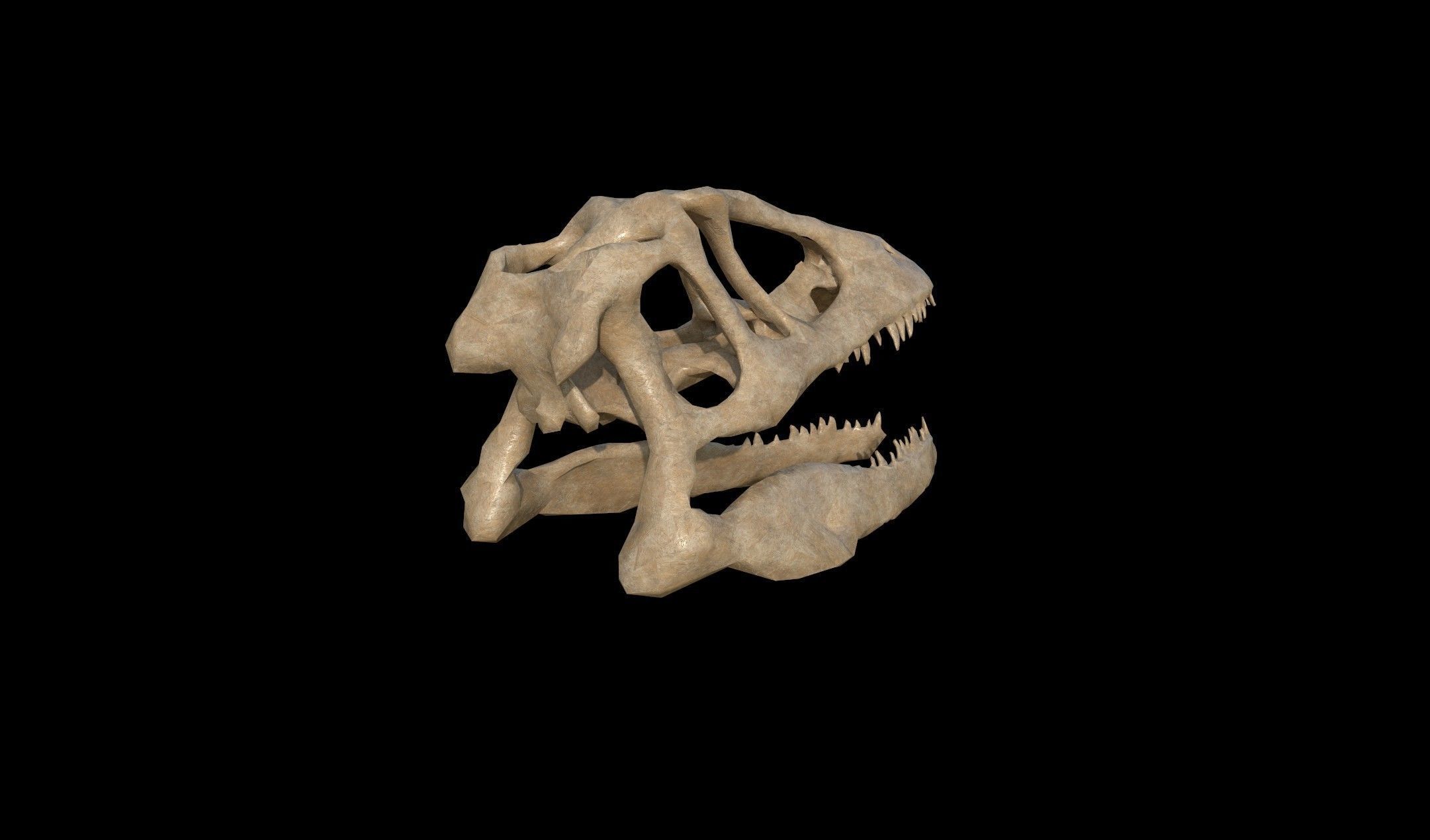 3D model Animal Skull - PBR - Textured VR / AR / low-poly | CGTrader