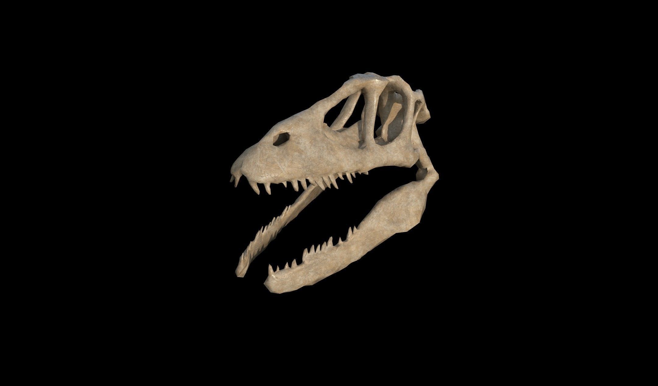3D model Animal Skull - PBR - Textured VR / AR / low-poly | CGTrader