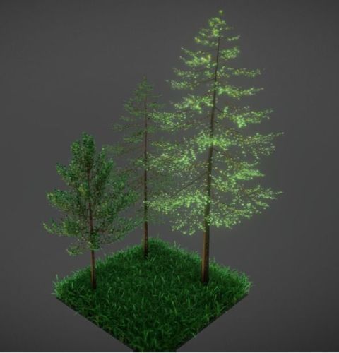 3 Bundle Tree pack 3D model | CGTrader
