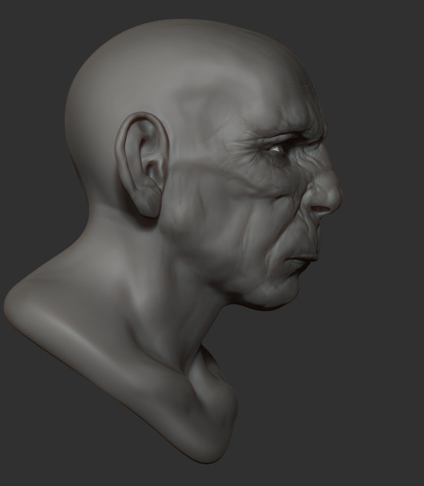 Orge Head 3D model 3D printable | CGTrader