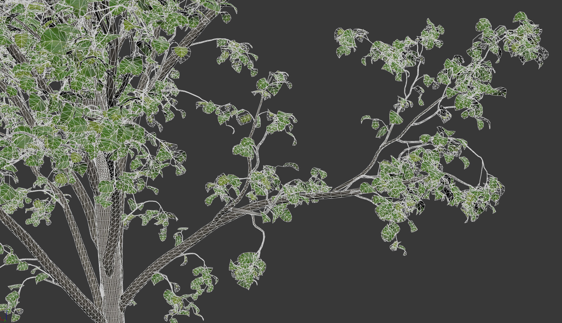 Animated trees for architectural visualization 3D model animated | CGTrader