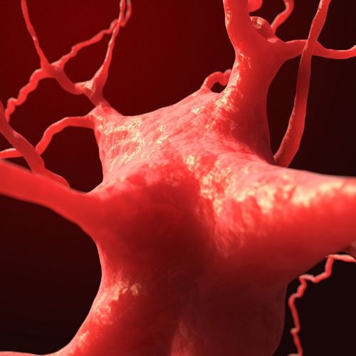 Dendrite neuron nerve cell 3D model | CGTrader