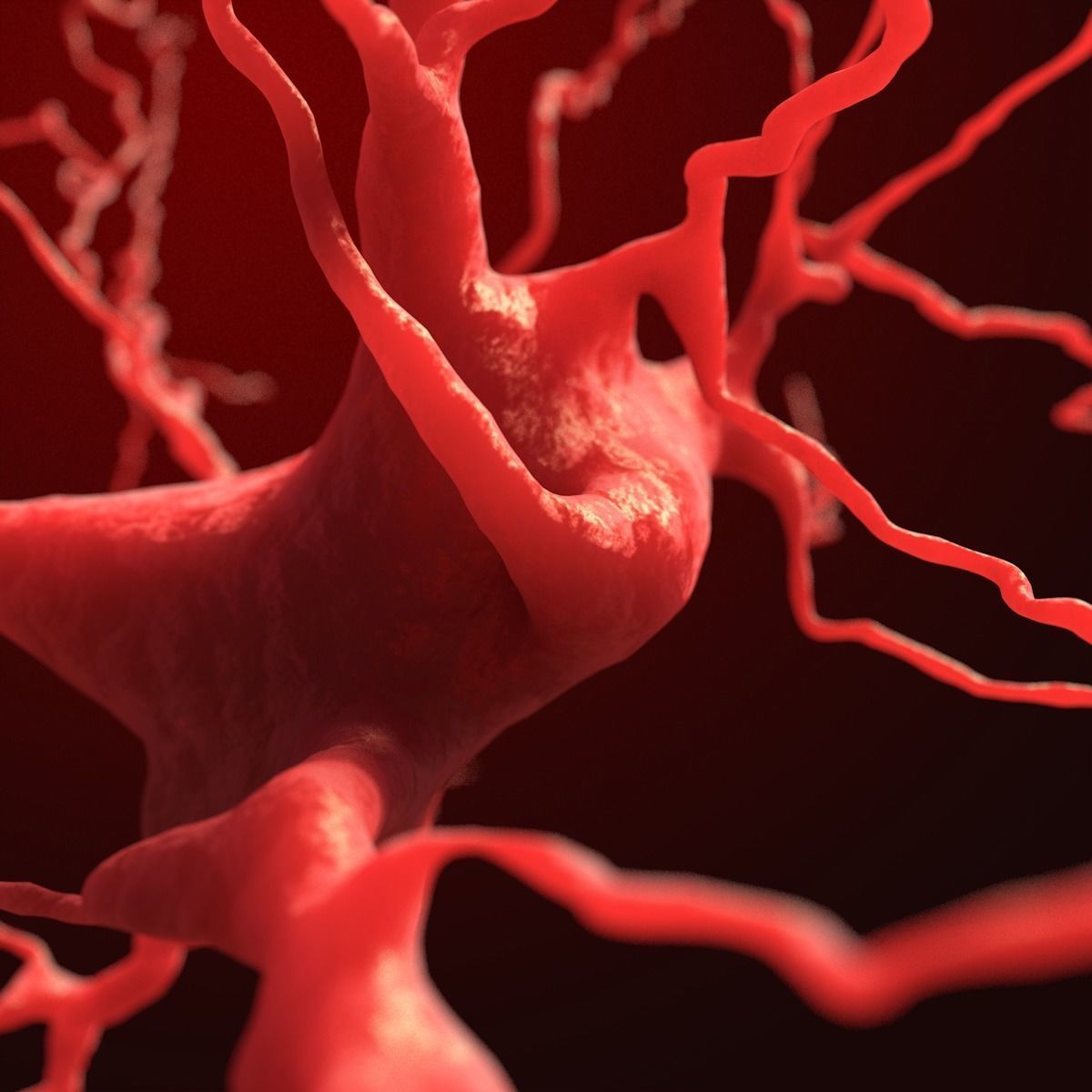 Dendrite neuron nerve cell 3D model | CGTrader