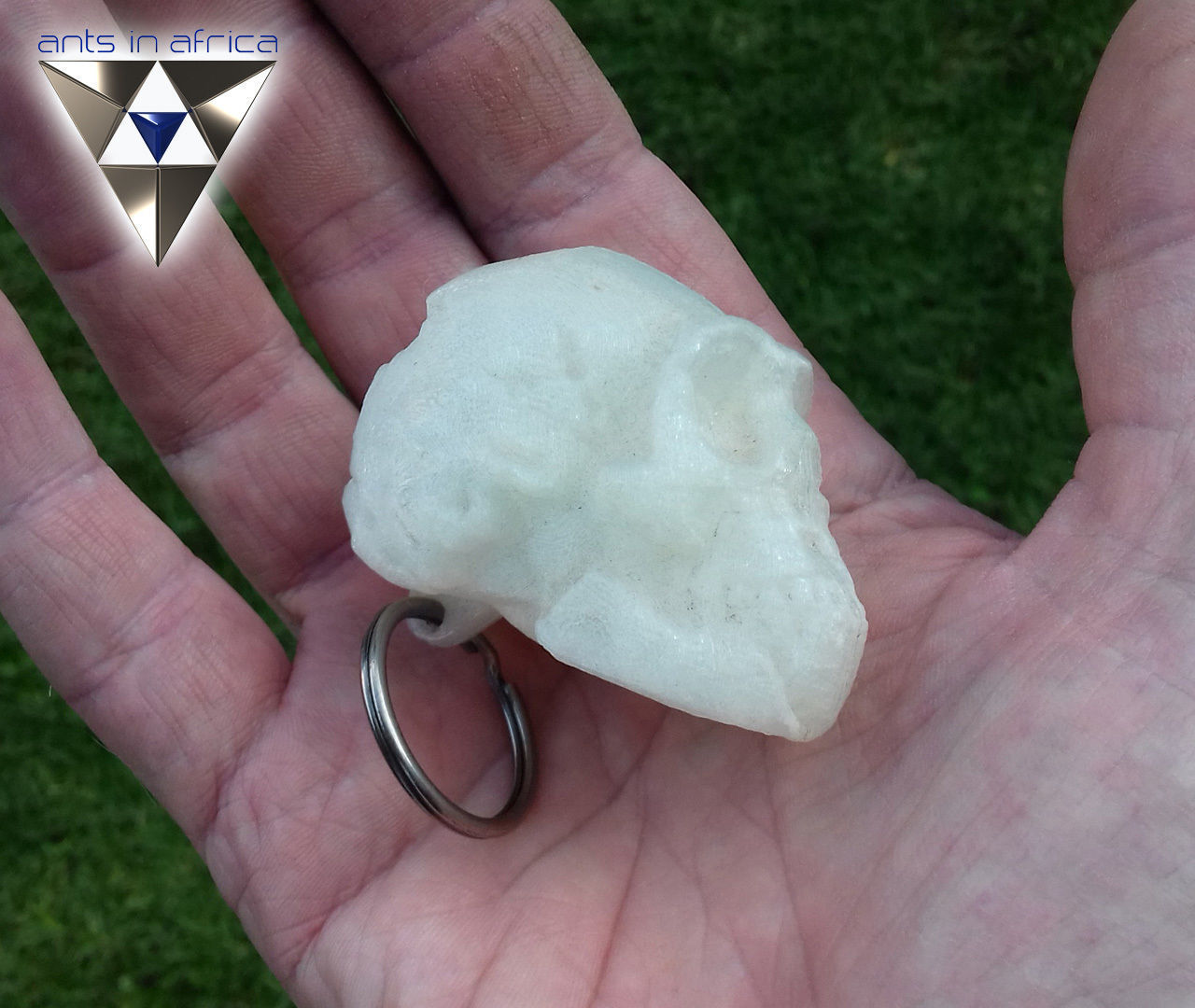 Homo Naledi Skull key-ring light 3D model 3D printable | CGTrader