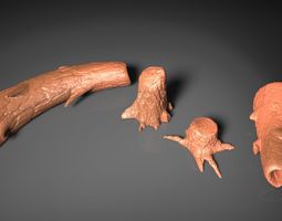 Tree log 3D Printing Models | CGTrader