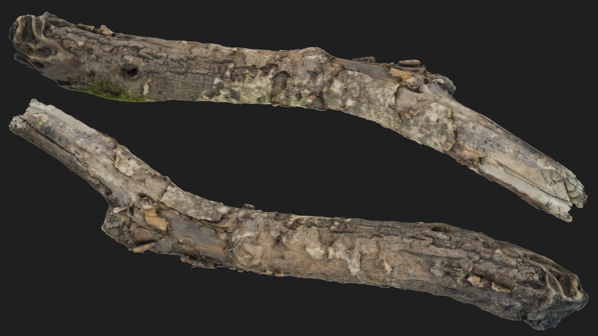 3D model Moss covered sticks Vol 1 VR / AR / low-poly | CGTrader