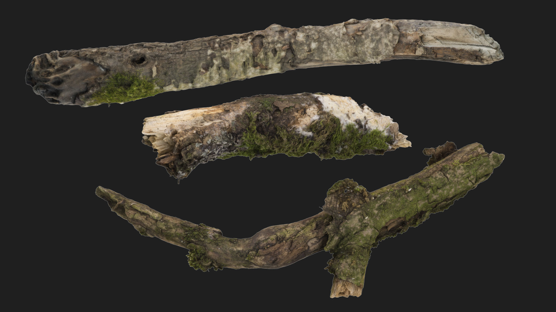 Moss covered sticks Vol 1 3D model | CGTrader