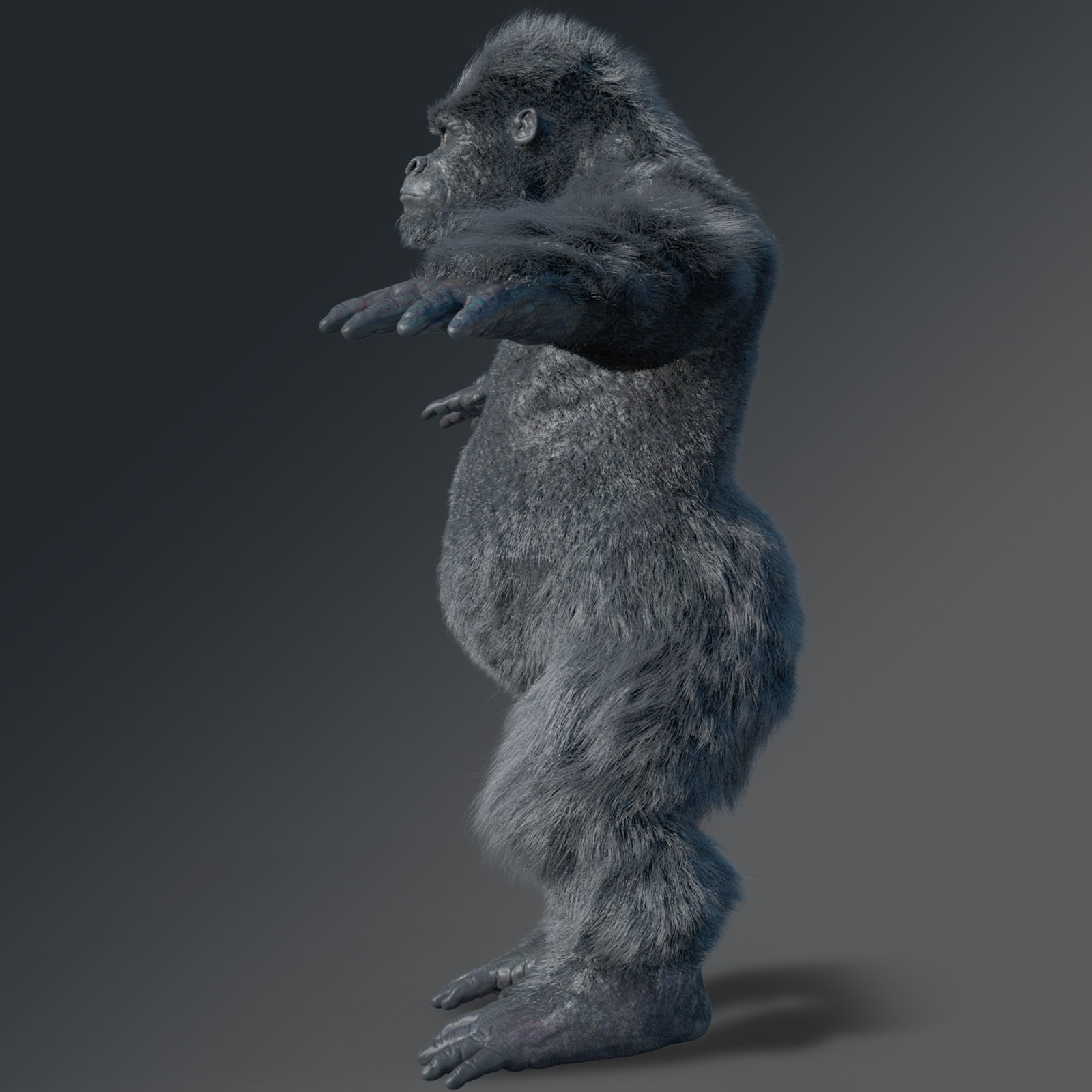Gorilla 3D model | CGTrader