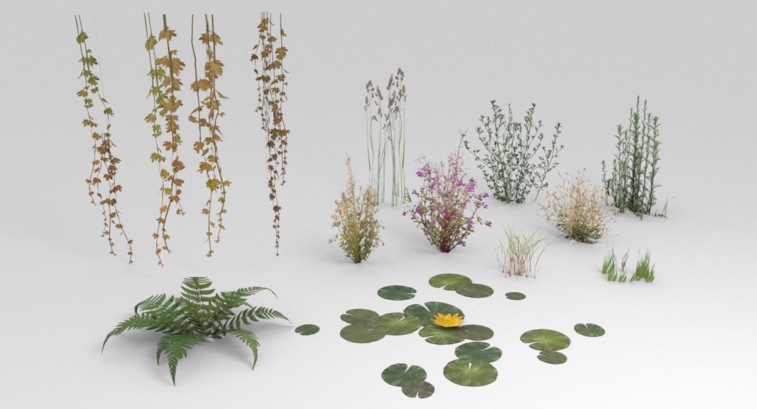 3D model Low-poly plants VR / AR / low-poly | CGTrader