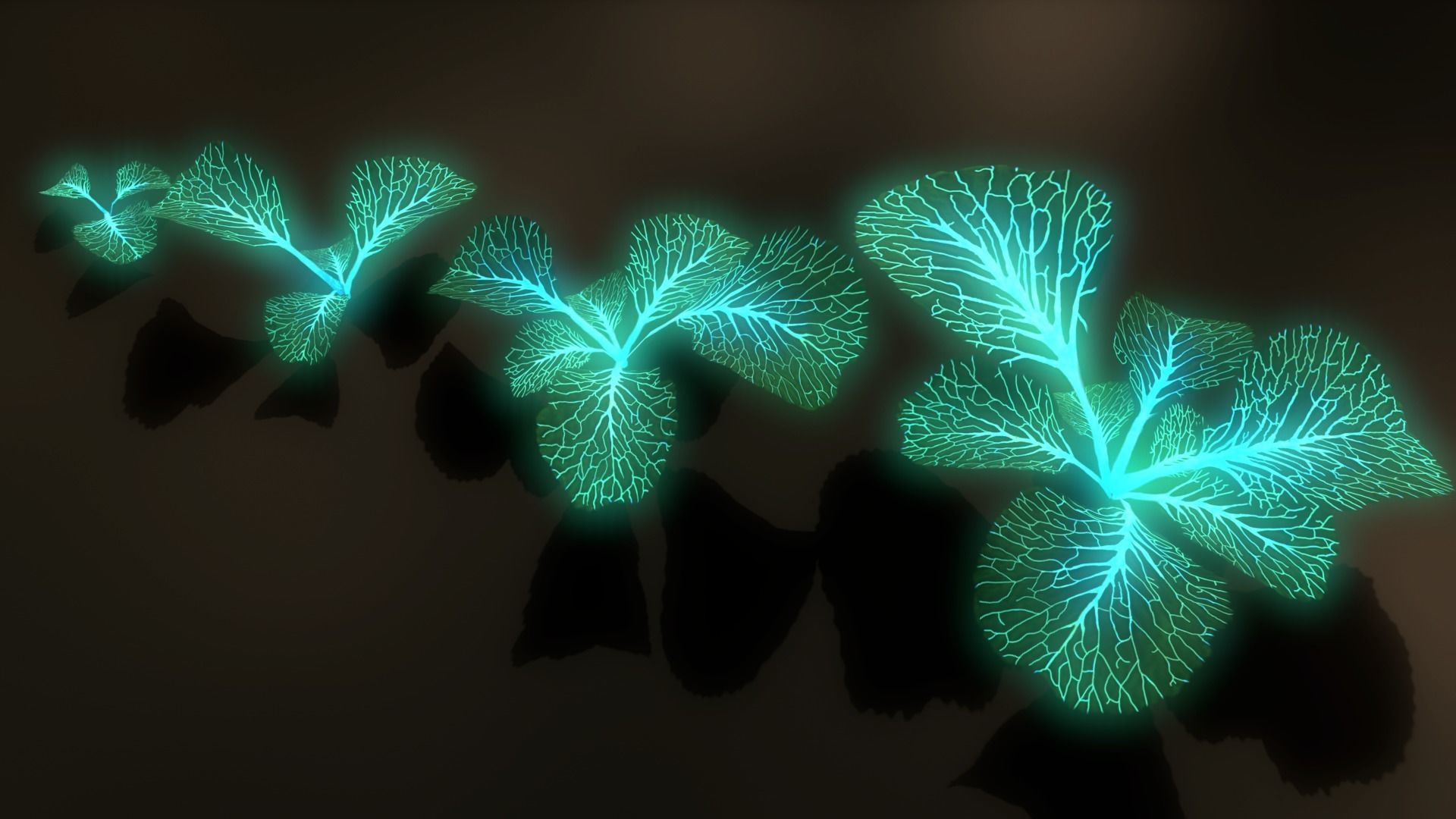 3D model magic cabbage VR / AR / low-poly | CGTrader