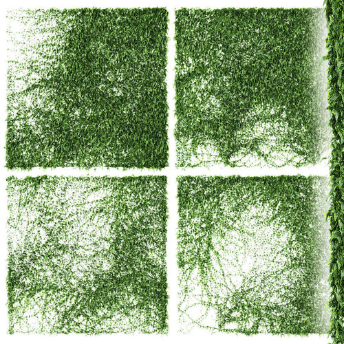 Set of 4 ivy models for walls or fence 3D model | CGTrader