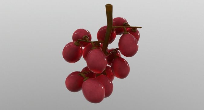 3D model Grapes on branch VR / AR / low-poly | CGTrader