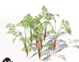 Carrot 3D Models | CGTrader