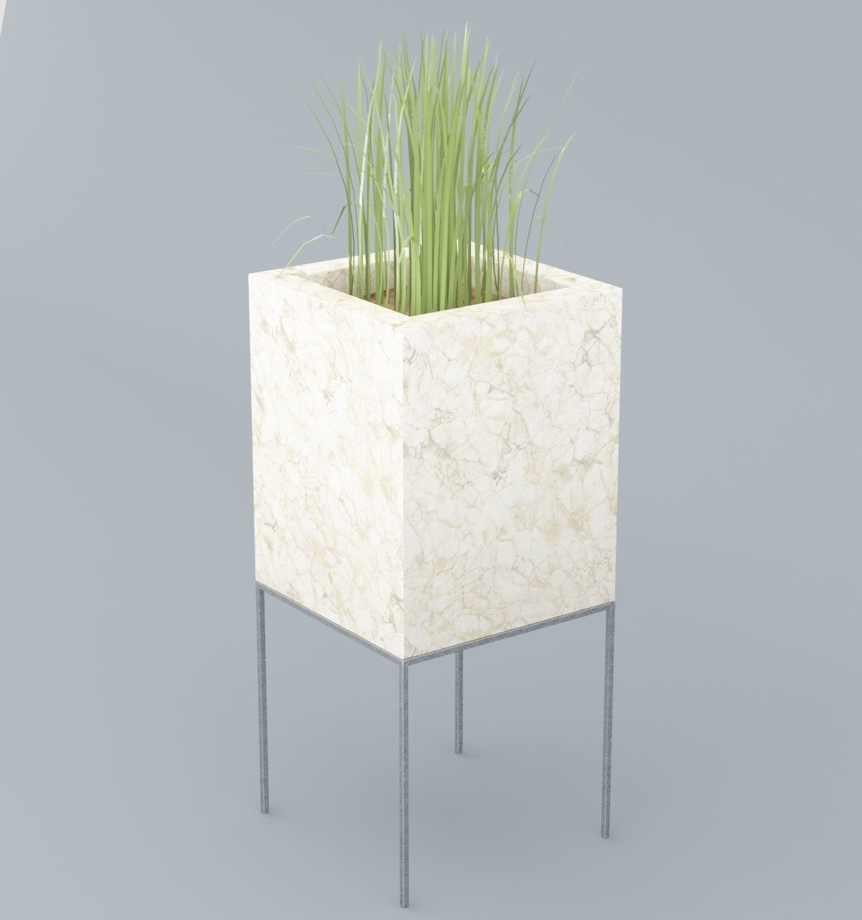 3D model Plant Low Poly Marble Case VR / AR / low-poly | CGTrader