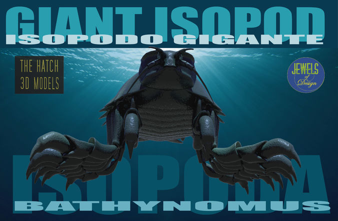 3D model Giant Isopod VR / AR / low-poly | CGTrader