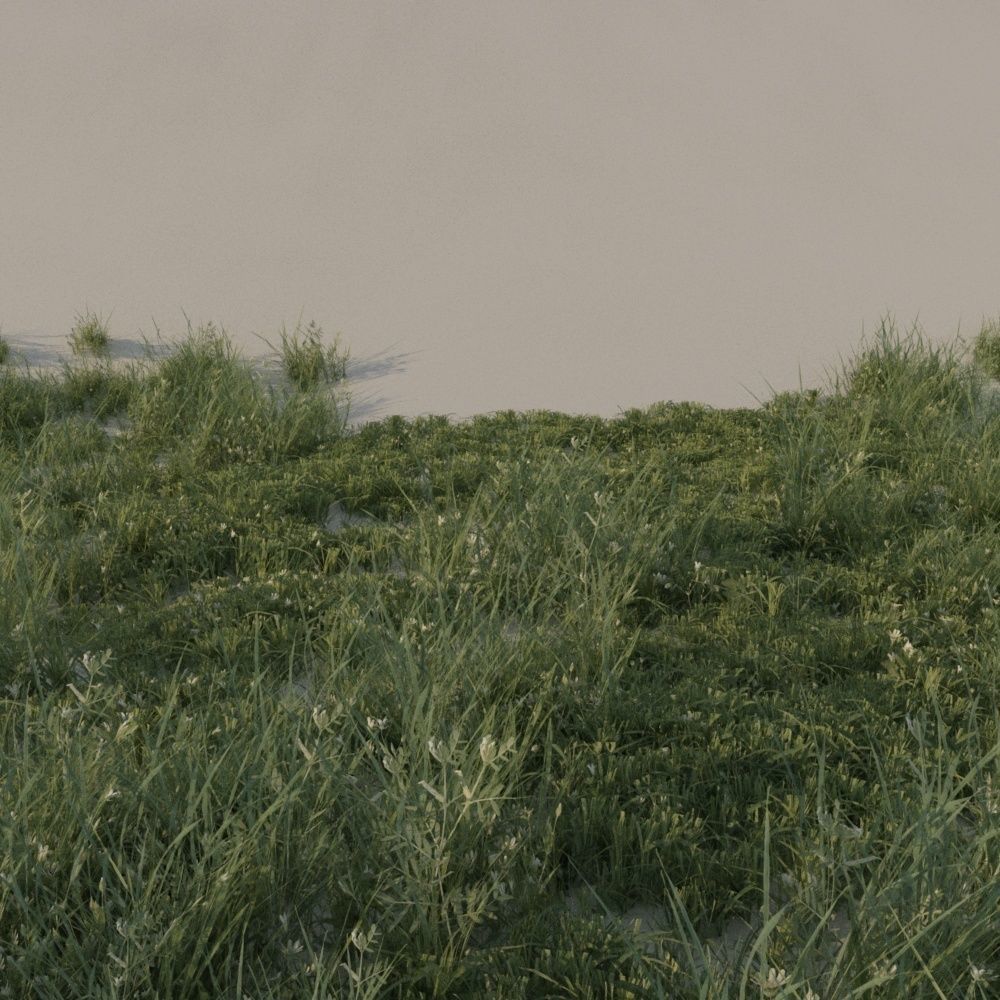 3D model Grass pack B VR / AR / low-poly | CGTrader