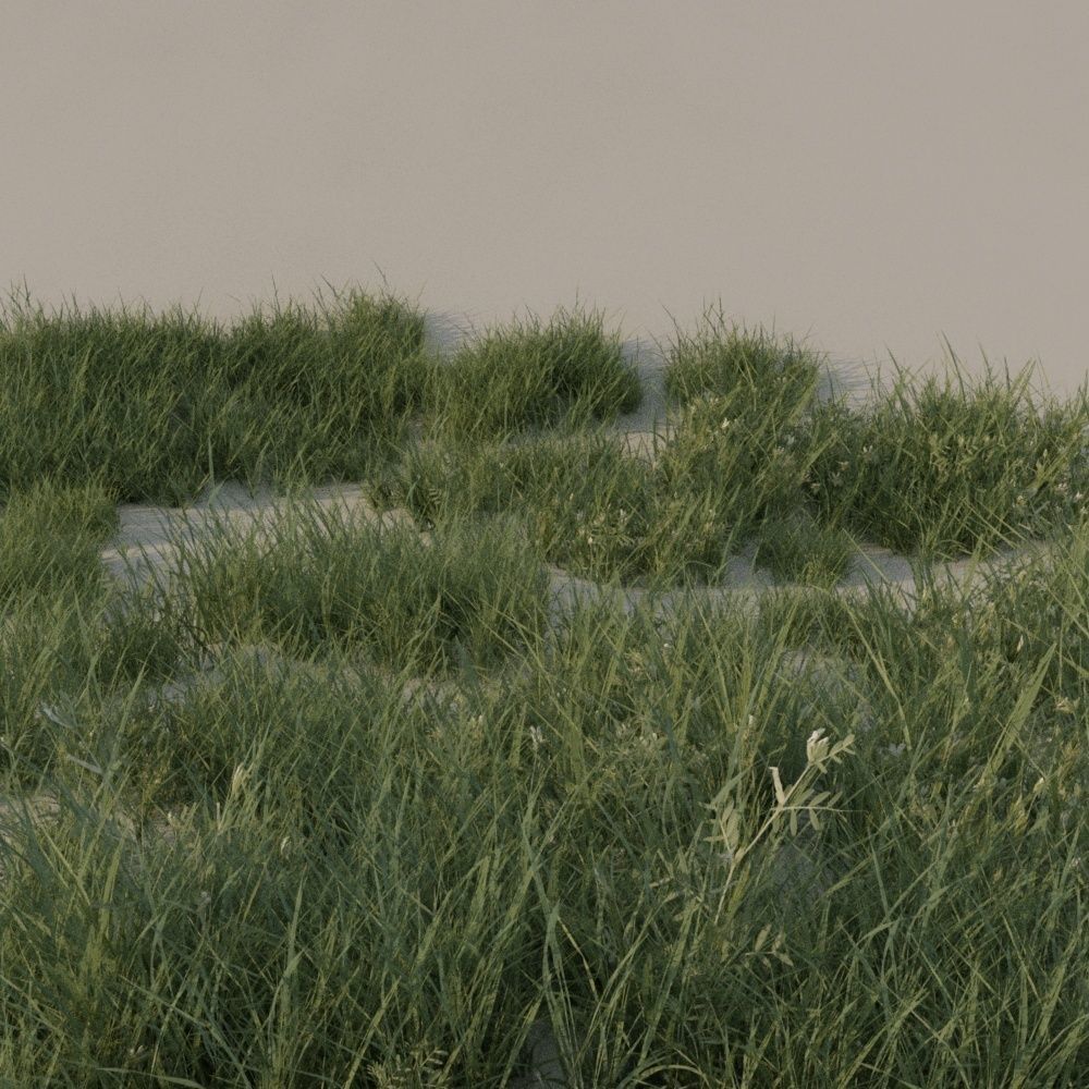 3D model Grass pack B VR / AR / low-poly | CGTrader