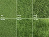 Grass Patches Green Meadow 3D model | CGTrader