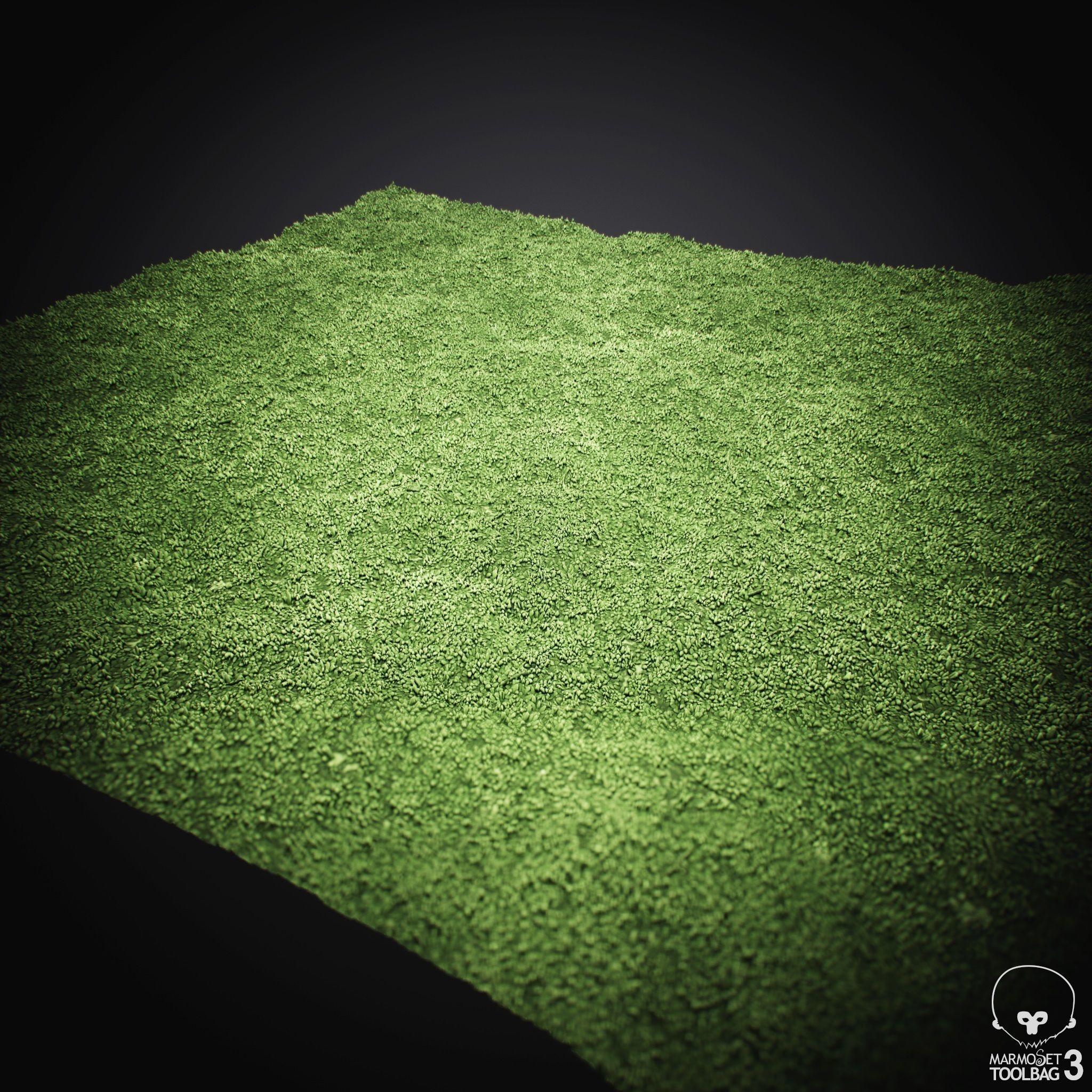 Moss PBR Tileable Material Texture | CGTrader