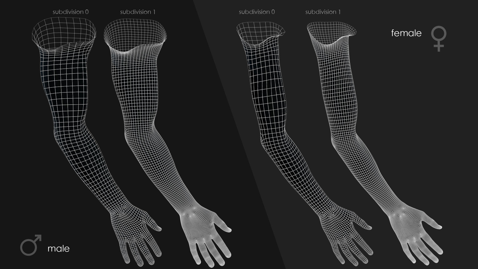 3D model First Person Arms VR / AR / low-poly | CGTrader