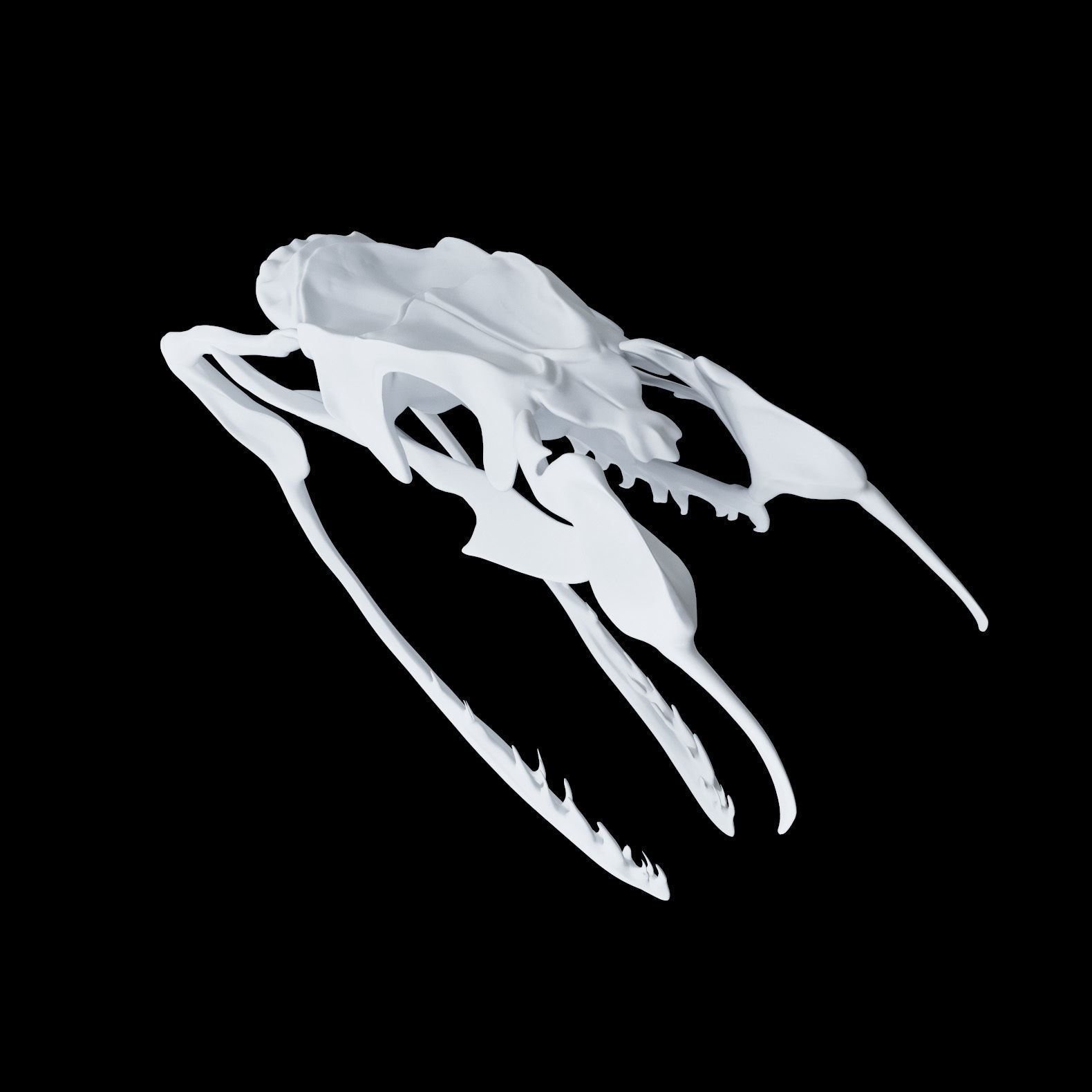 Skull Snake - Proteroglyphous 3D model 3D printable | CGTrader