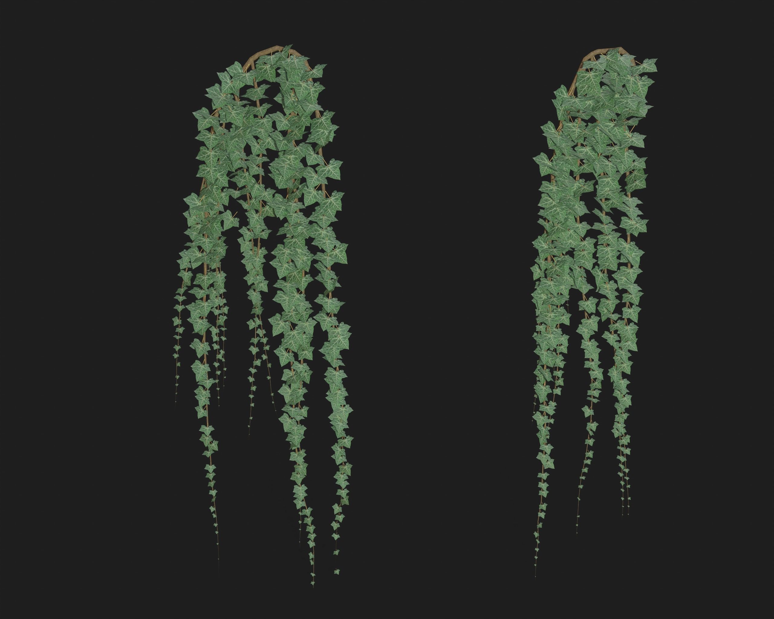 3D model Natural Assets - Wall Ivy - PBR and Game-Ready VR / AR / low ...