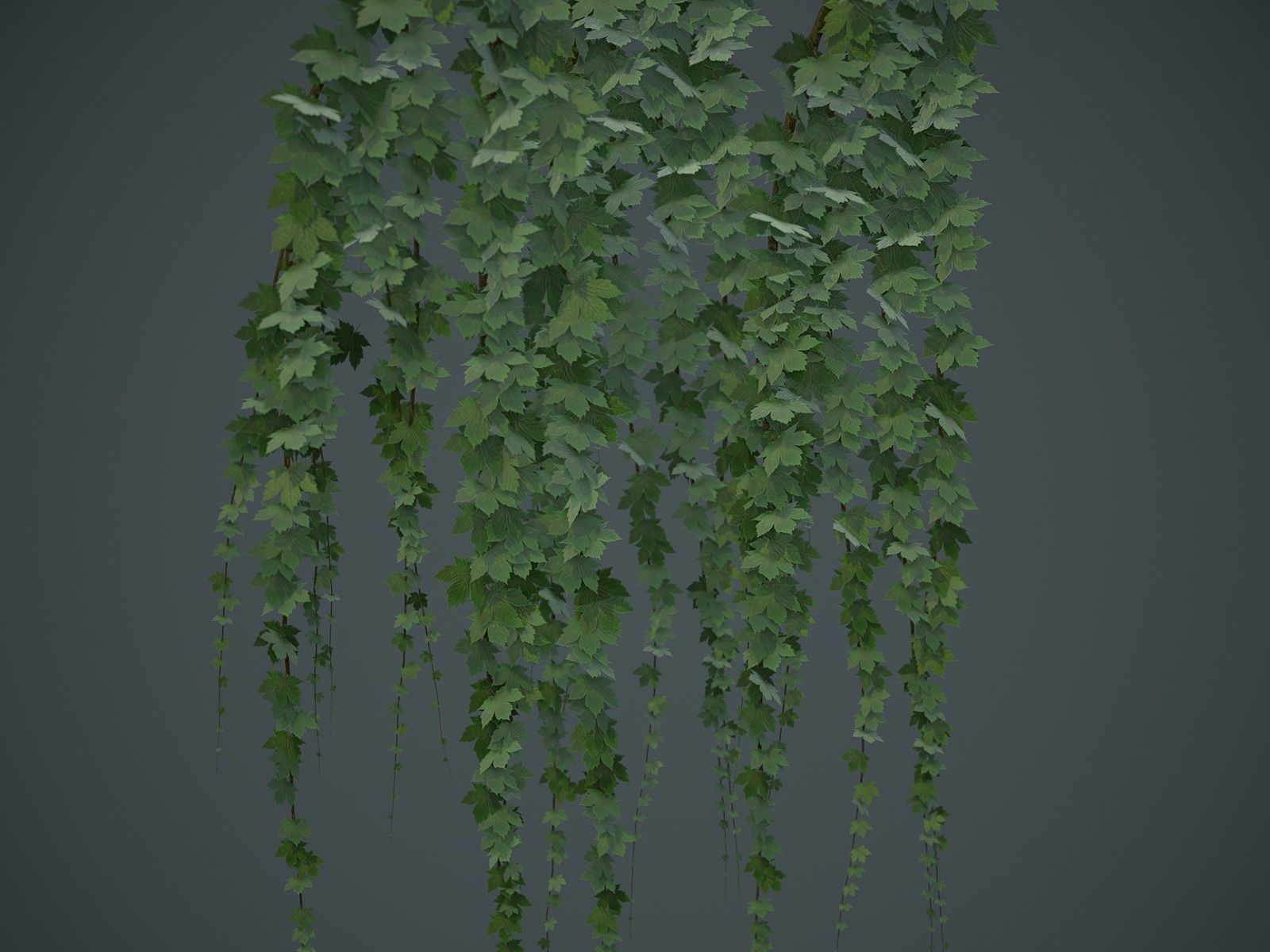 3D model Natural Assets - Wall Ivy - PBR and Game-Ready VR / AR / low ...