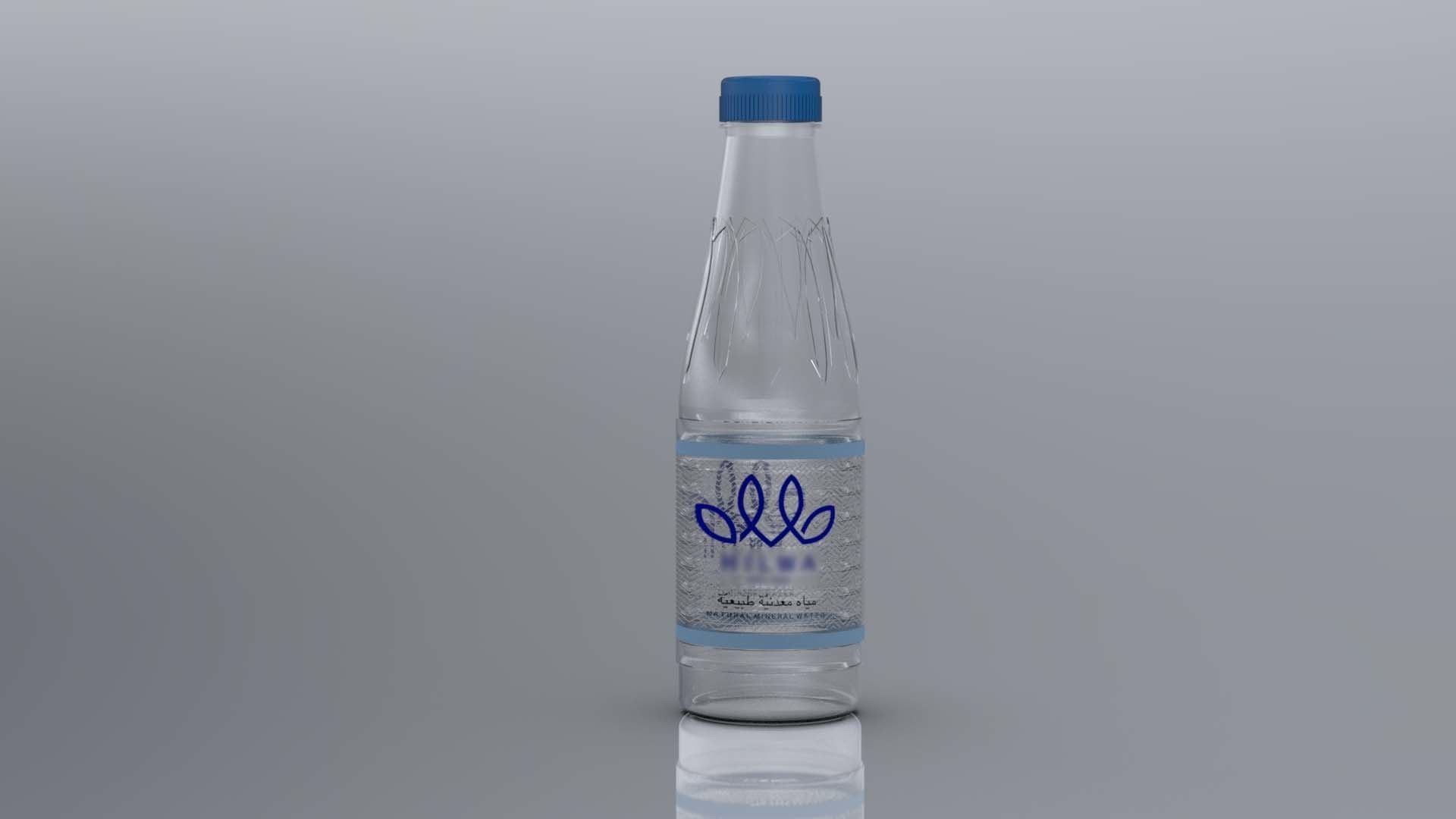 Water bottle 3D model free VR / AR / low-poly 3D model | CGTrader