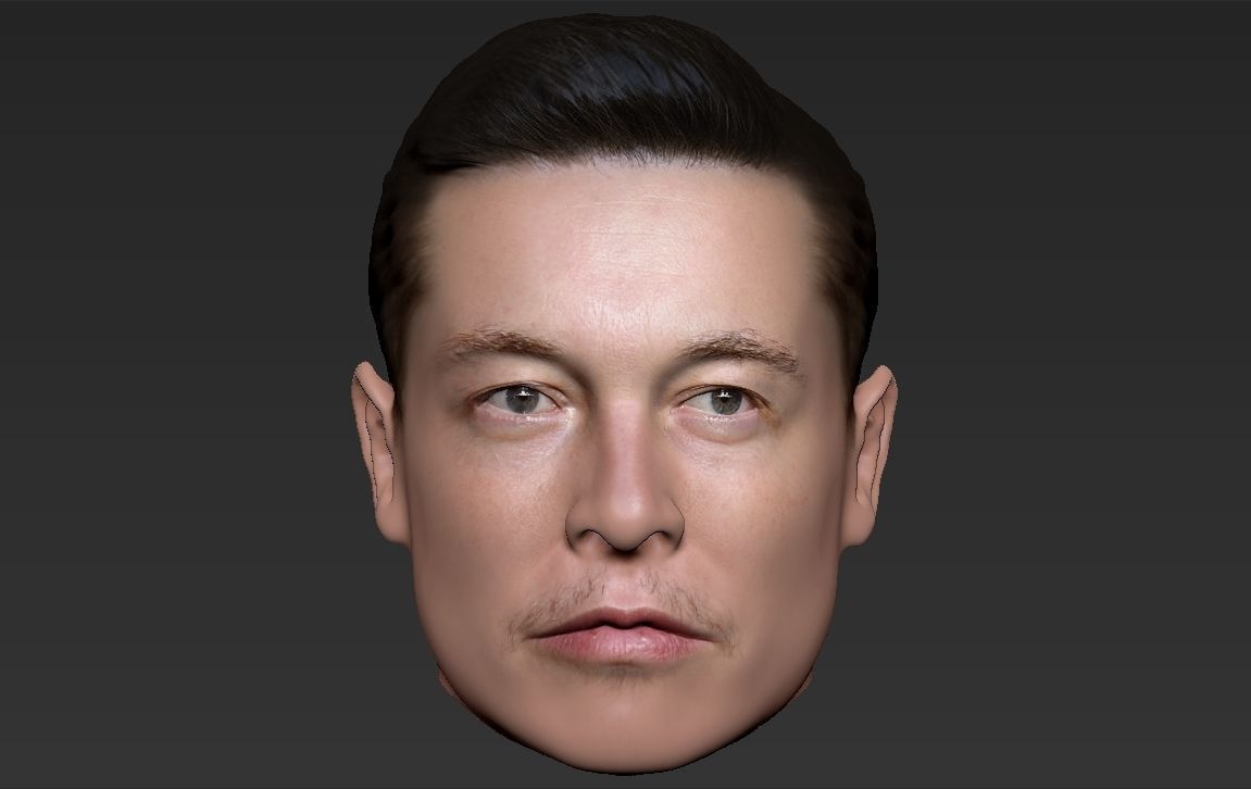 Elon Musk 3D model | CGTrader