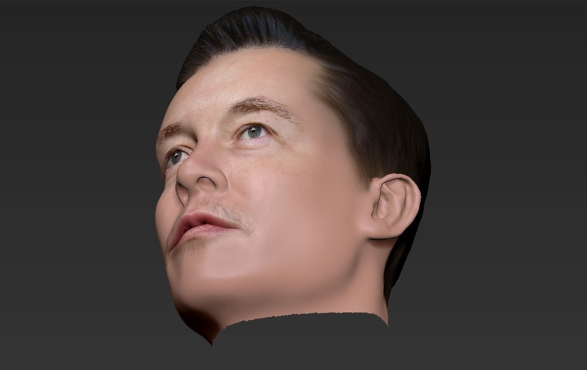 Elon Musk 3D model | CGTrader