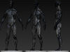 Ecorche Male Anatomical Reference 3D model | CGTrader