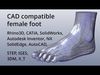 CAD compatible Woman Foot Model F1P1D0V1feet 3D model | CGTrader